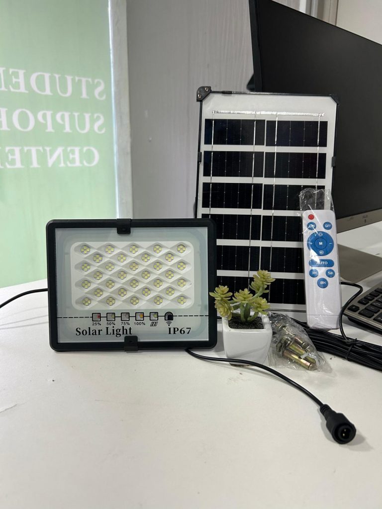 Solar panel with solar light - MerryGoRound